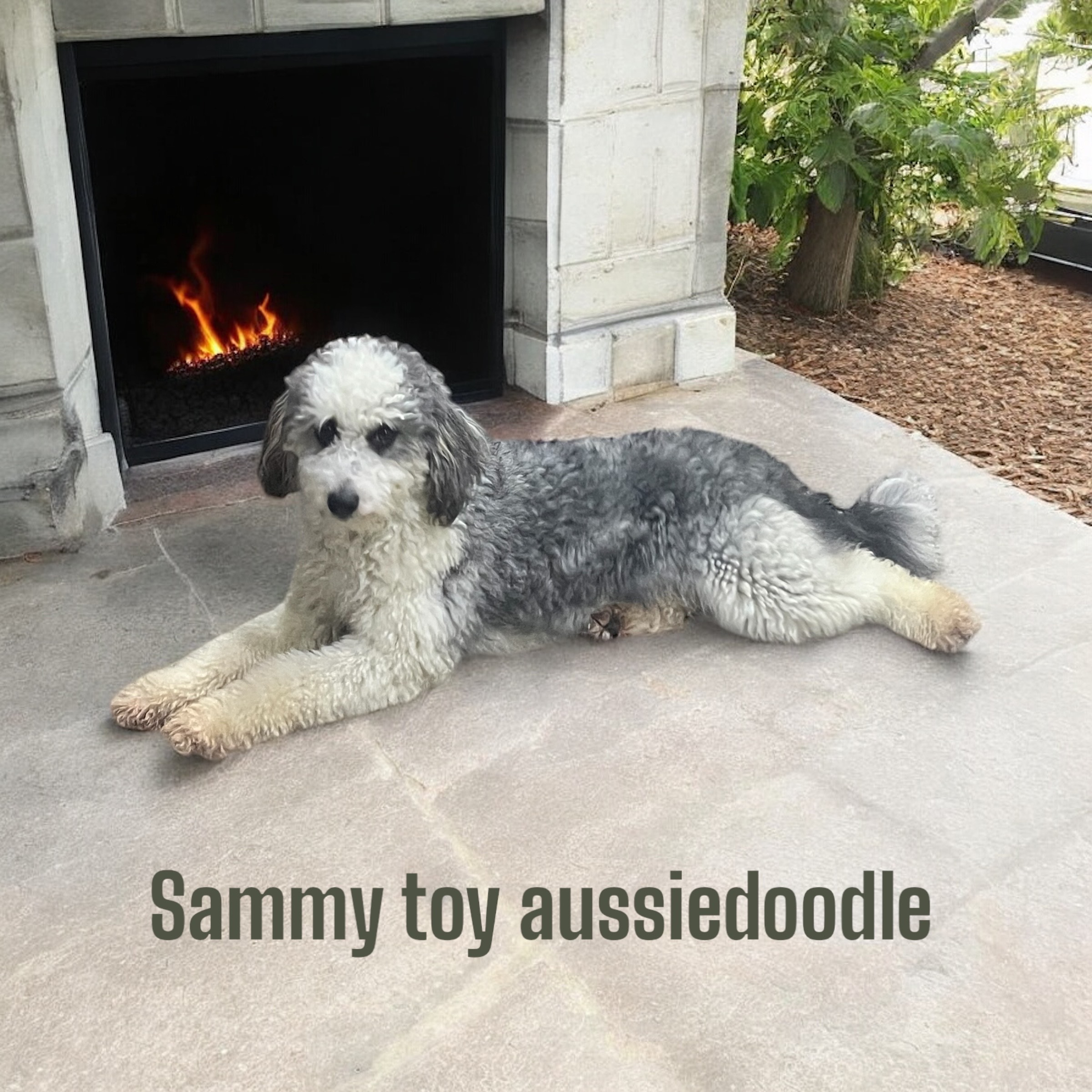 Upcoming spring 2025 - Unique Doodles